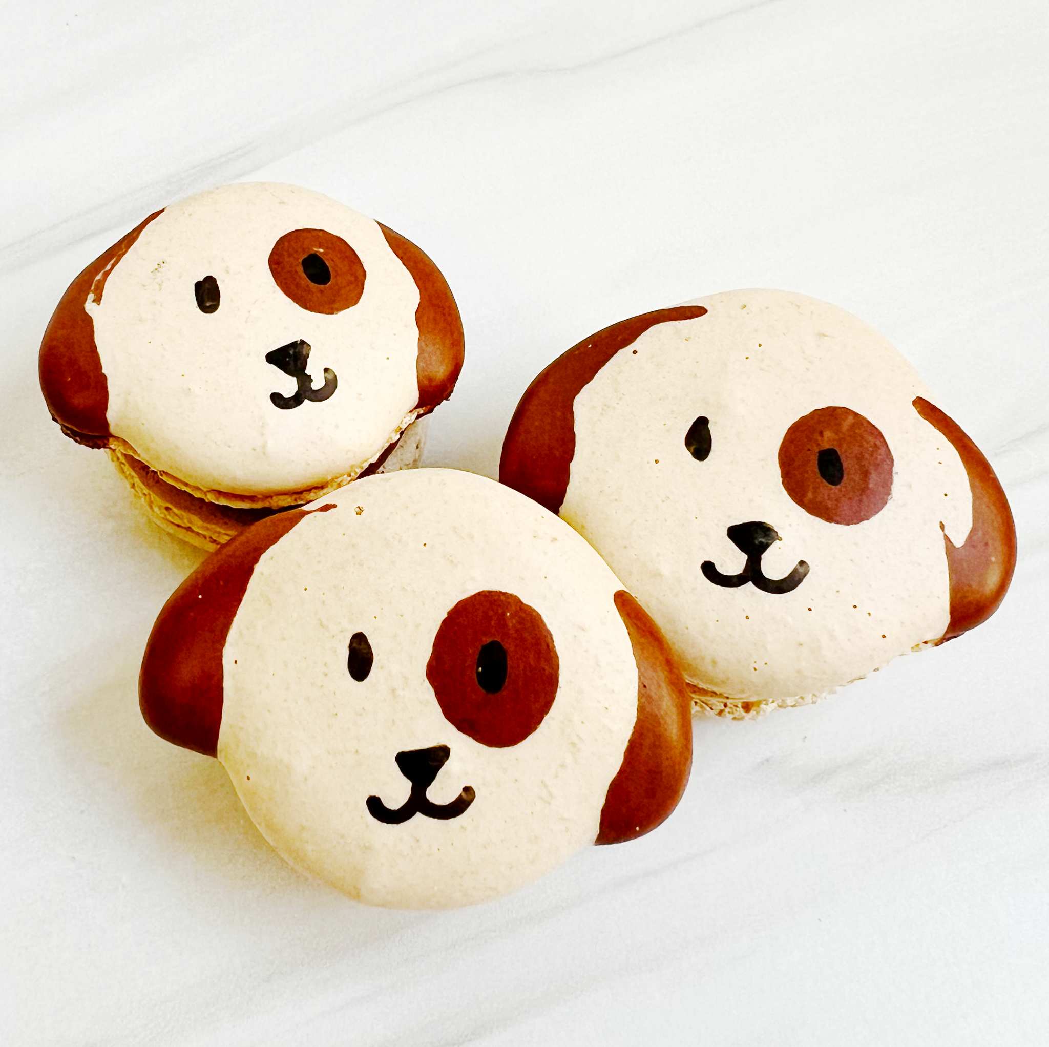 Teddy Bears Macarons Teddy Bears Macarons Teddy Bears Macarons Teddy B ...