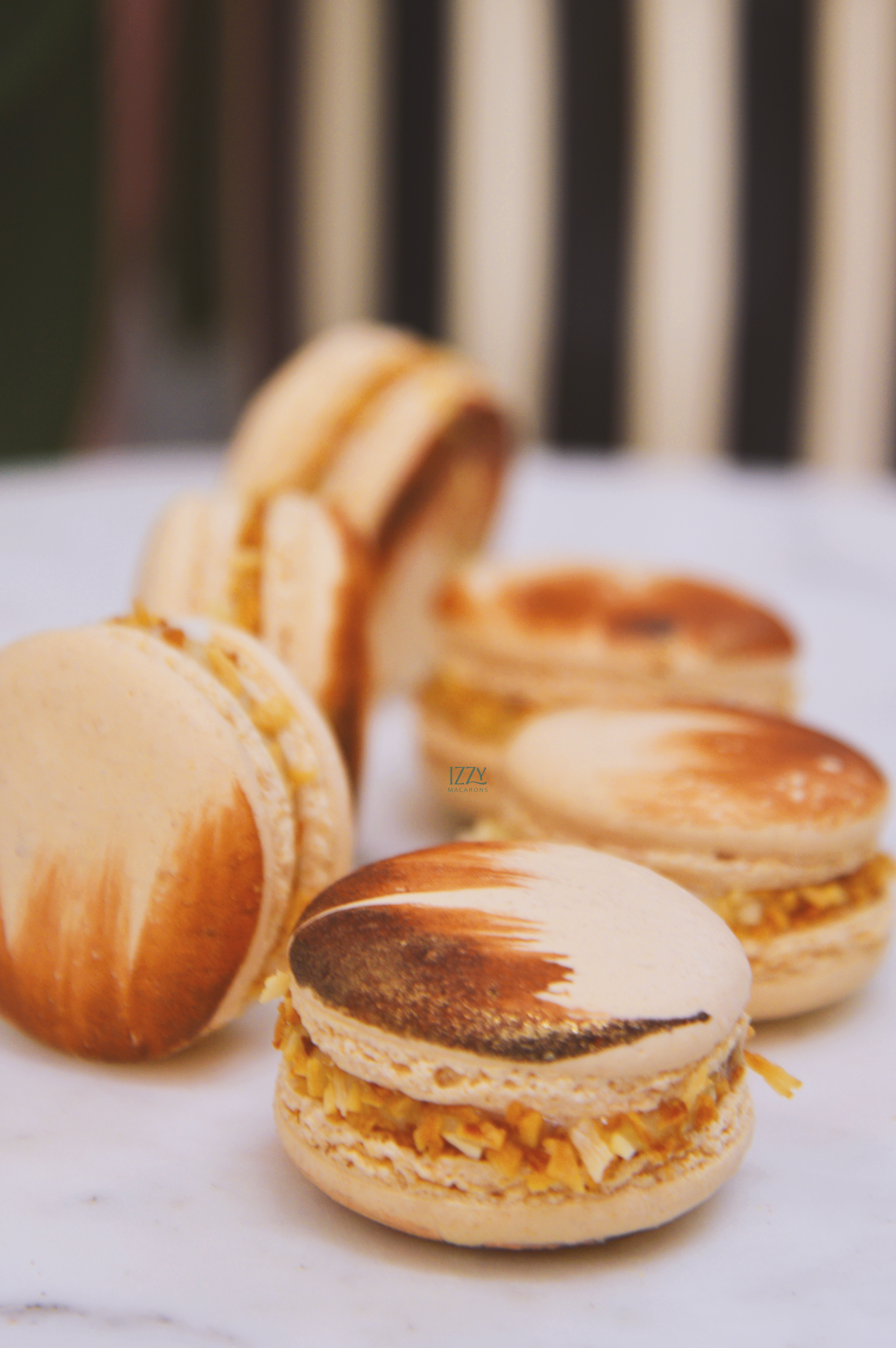 Toasted Coconut – Izzy Macarons